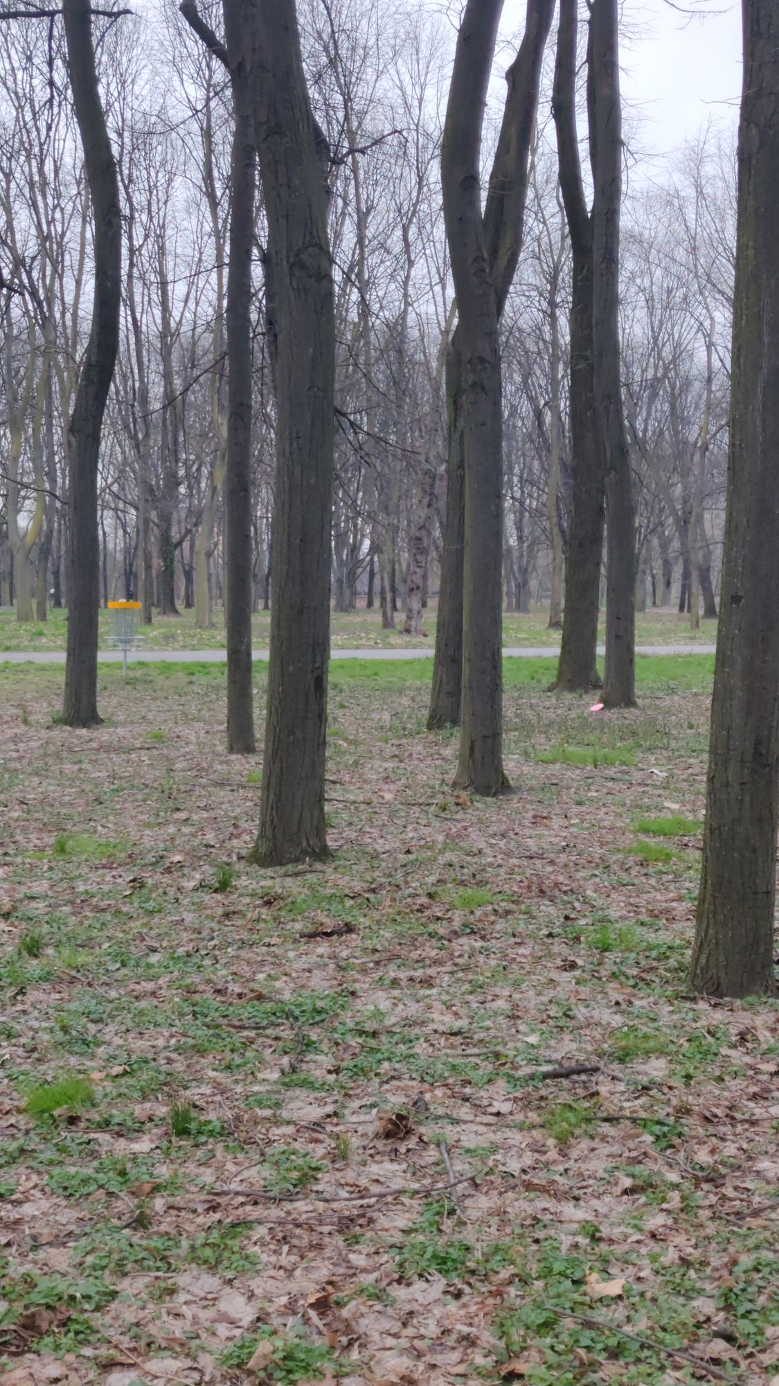 Sovico Disc Golf - Your Guide to Disc Golf in Sovico, Italy | UDisc