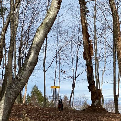 Norbrook Farm - Winsted, CT | UDisc Disc Golf Course Directory