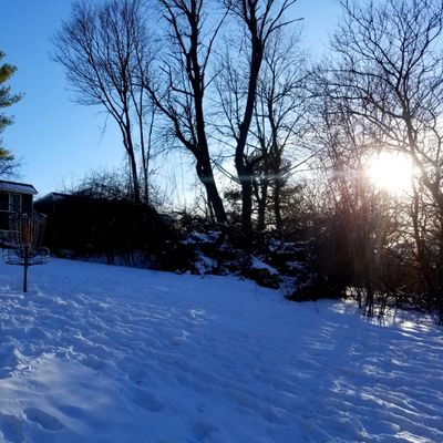 Spring Valley Park - Kalamazoo, MI | UDisc Disc Golf Course Directory