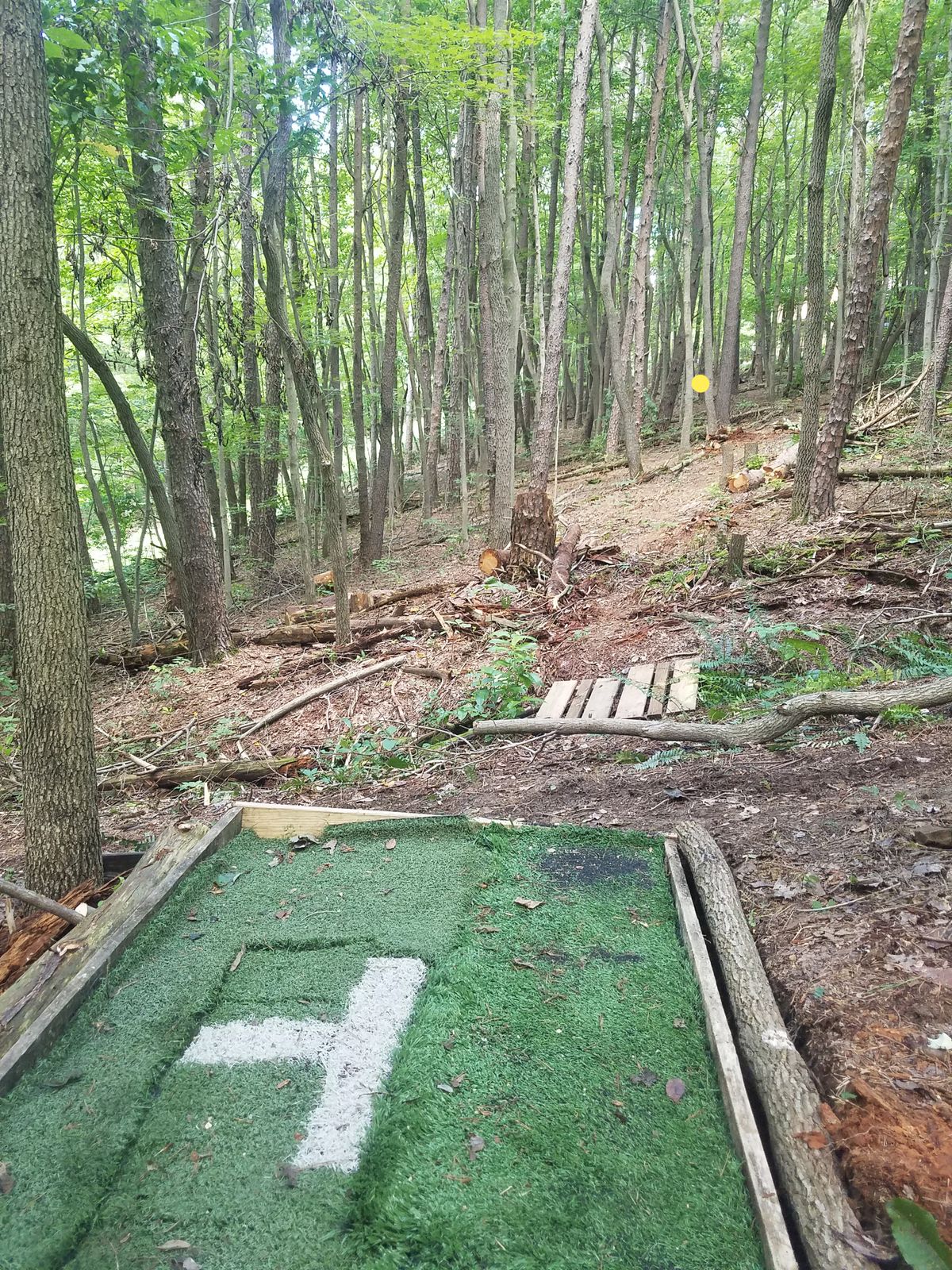 The Phoenix at Thunder Ridge - Rockbridge, Ohio | UDisc Disc Golf ...