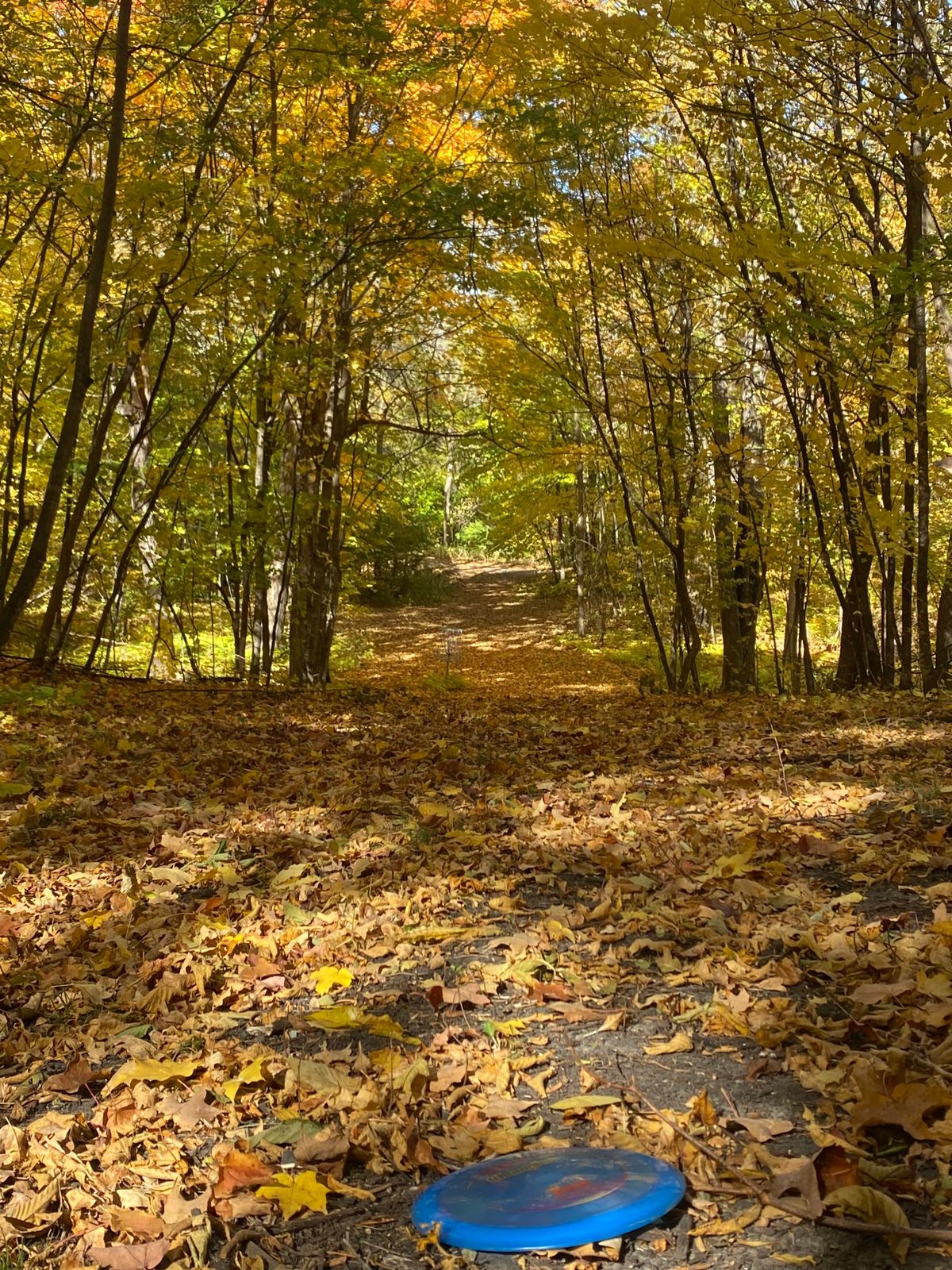 Andes Tower Hills Disc Golf Course - Holmes City, Minnesota | UDisc ...