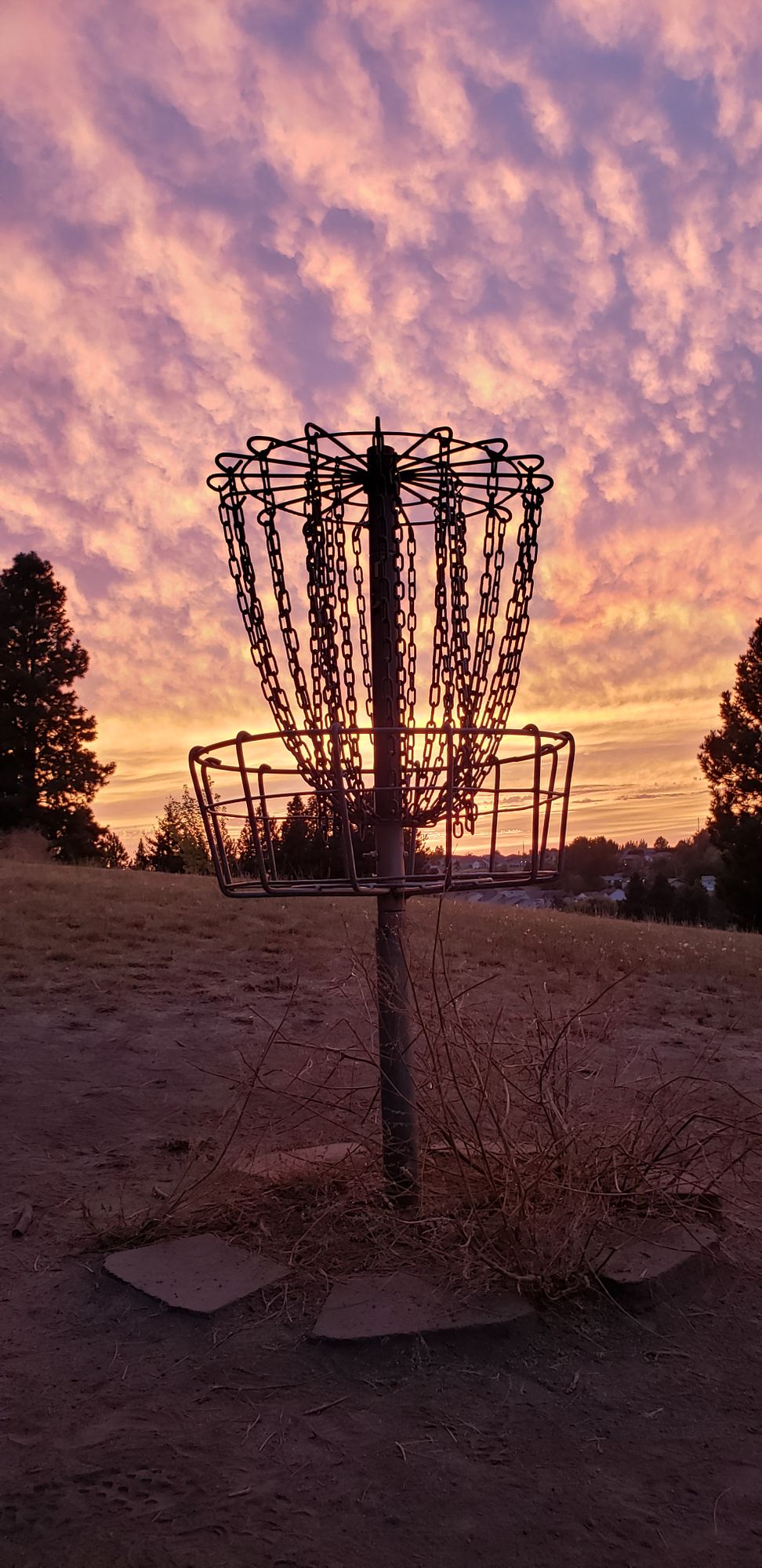 Sunnyside Park DGC - Pullman, Washington | UDisc Disc Golf Course Directory