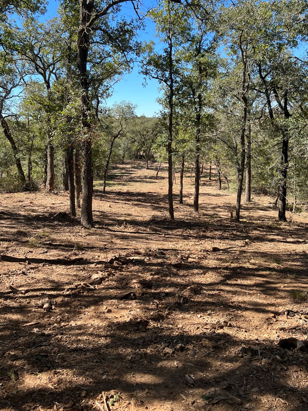 Turkey Ridge Disc Golf Complex - Seguin, Texas | UDisc Disc Golf Course ...