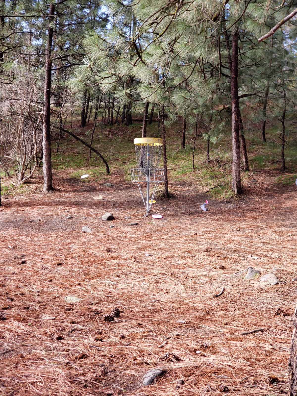 High Bridge Park - Spokane, WA | UDisc Disc Golf Course Directory