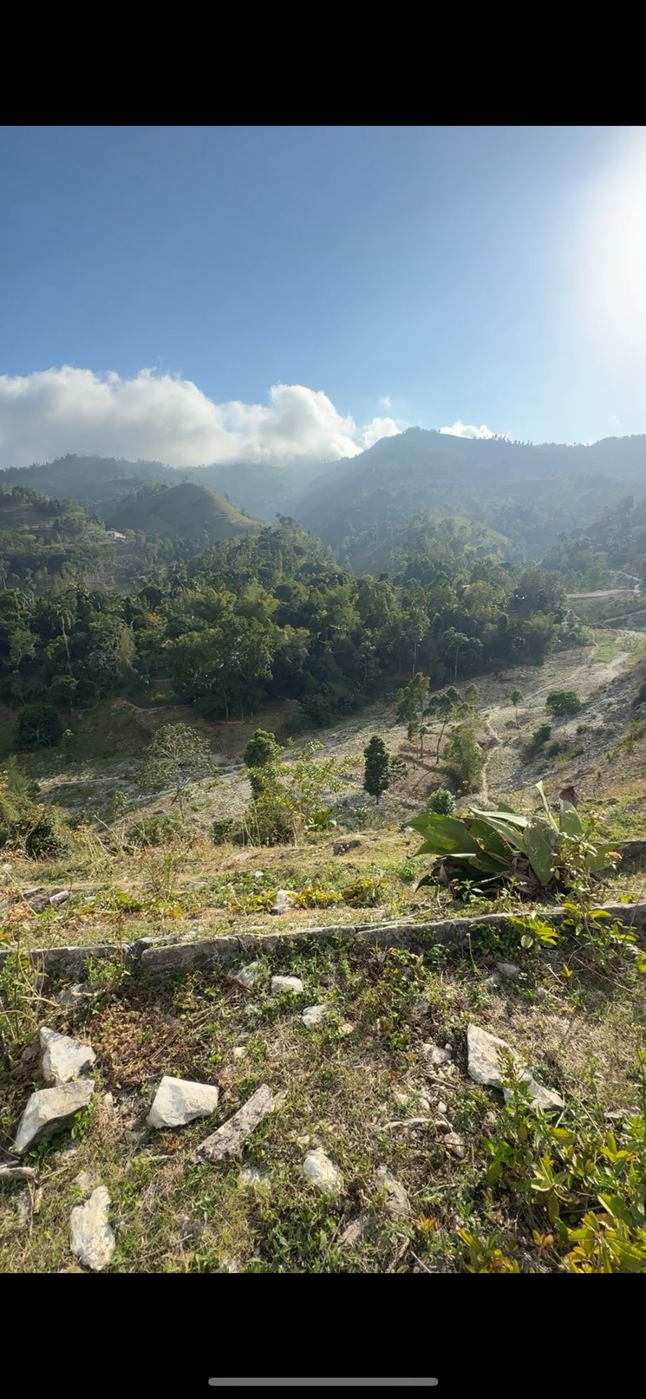 Léogâne Disc Golf - Your Guide to Disc Golf in Léogâne, Haiti | UDisc