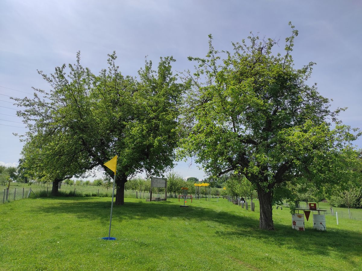 Dornbirn Disc Golf - Your Guide to Disc Golf in Dornbirn, Austria | UDisc