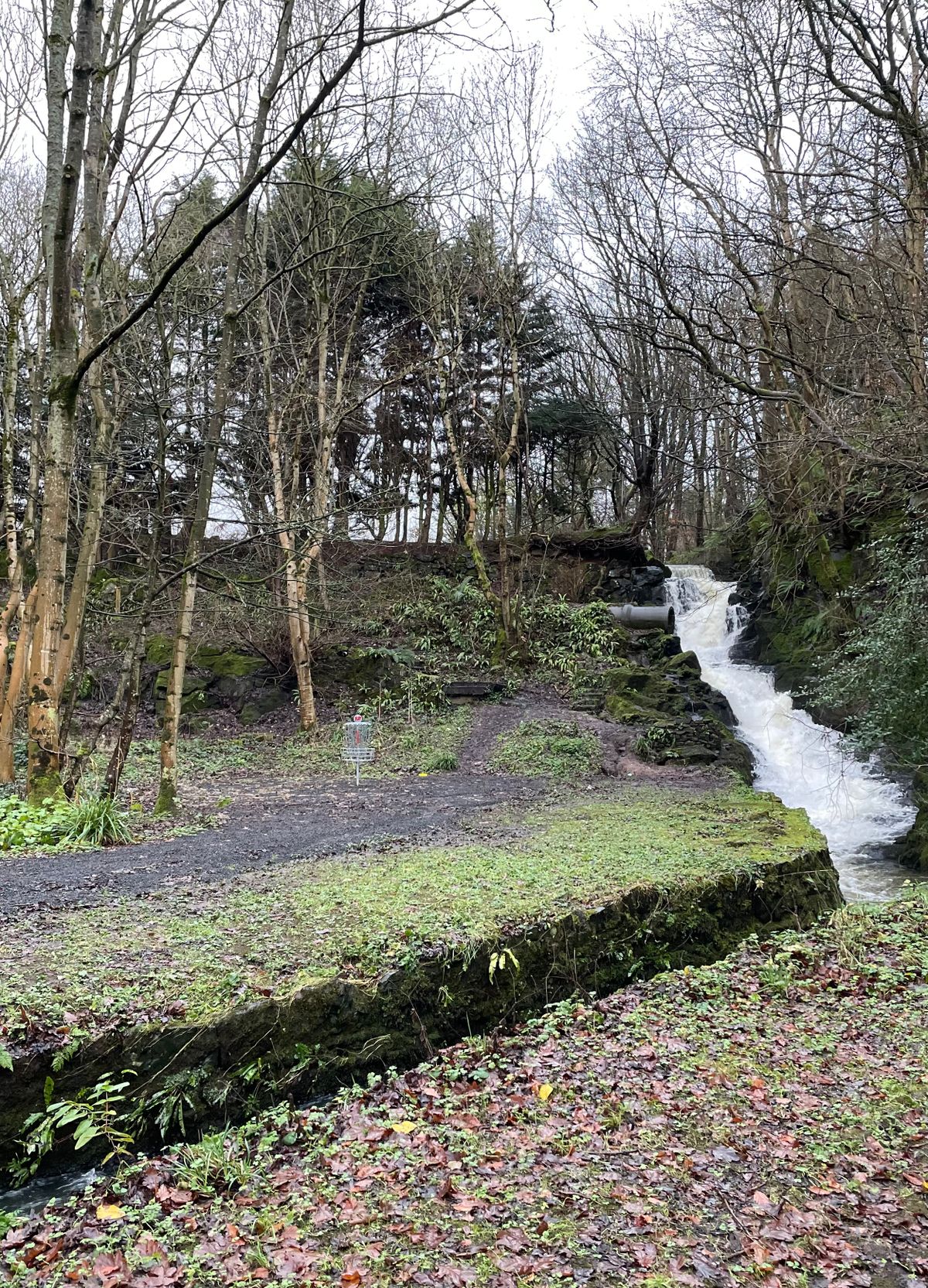 UUC Arboretum DGC - Coleraine, United Kingdom | UDisc Disc Golf Course ...