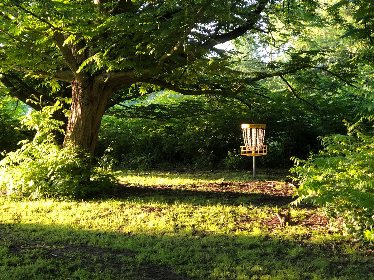 Disc Golf Course Stadspark Groningen - Groningen, Netherlands | UDisc ...