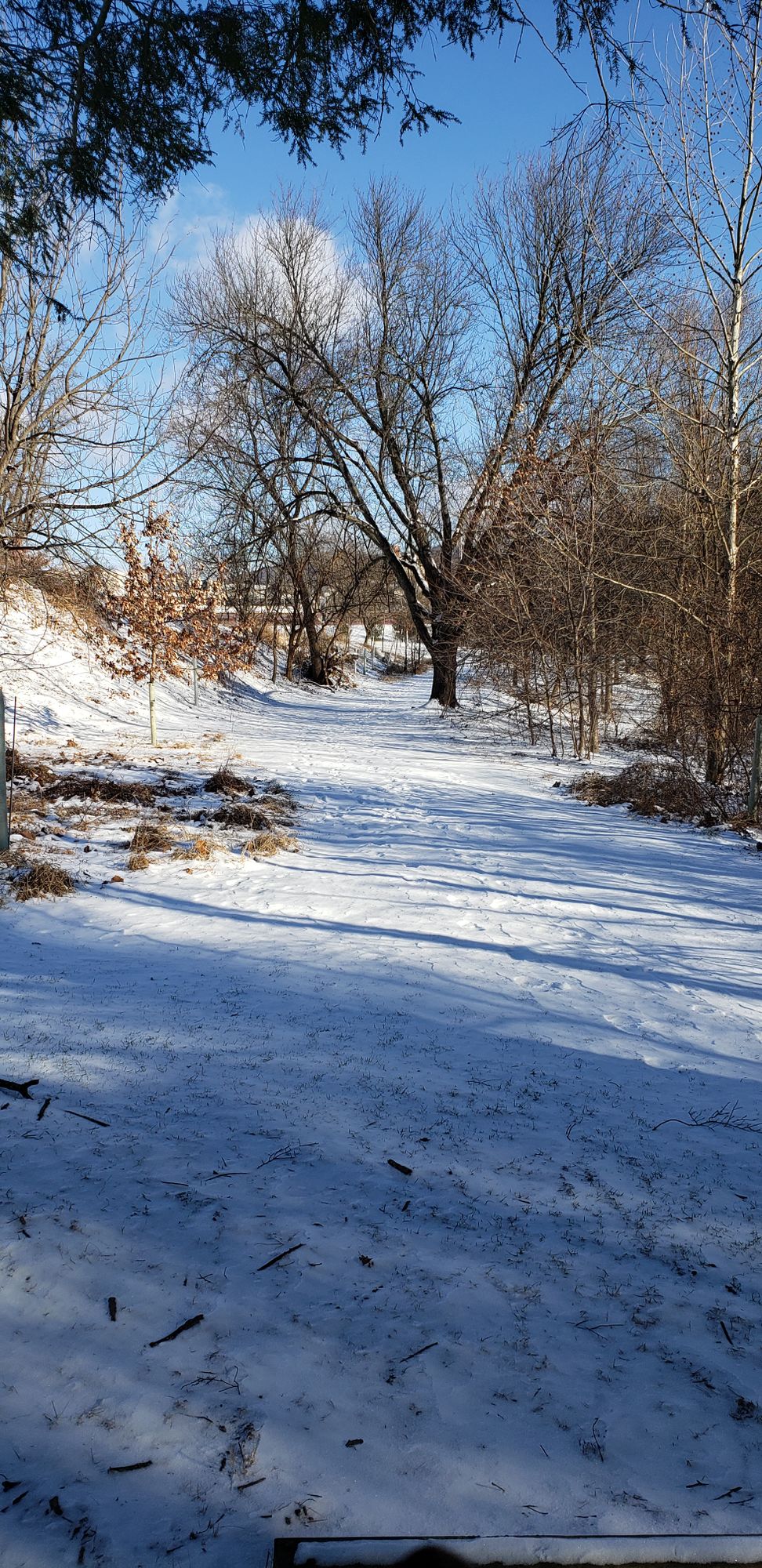 Angelica Creek Park - Reading, PA | UDisc Disc Golf Course Directory