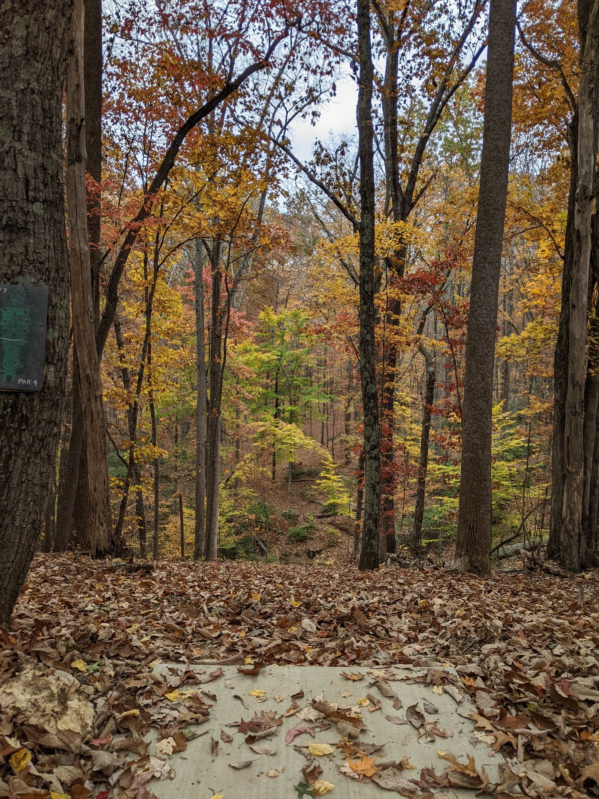 Beale's Treasure at Montvale Park - Montvale, Virginia | UDisc Disc ...