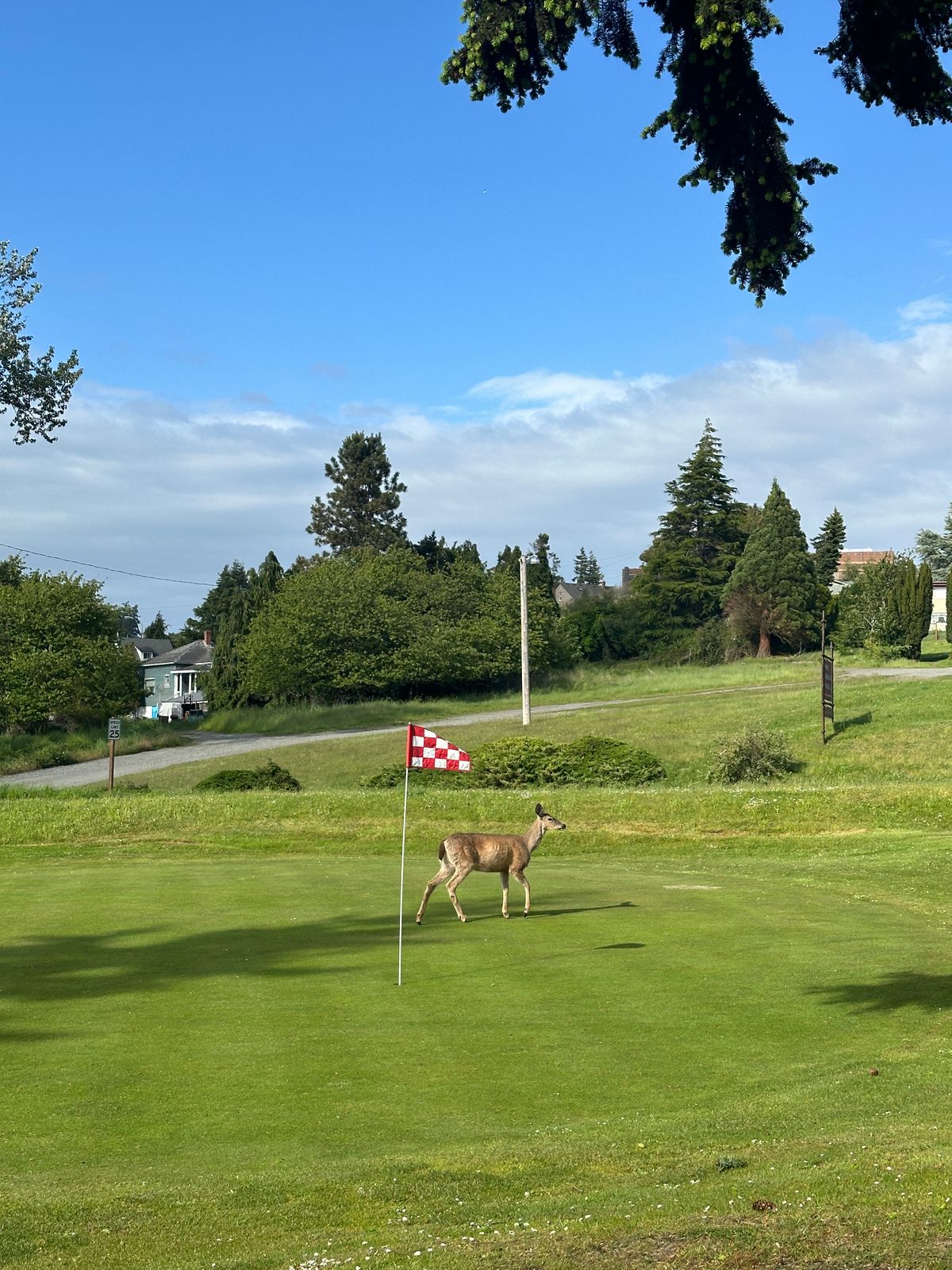 Camas Prairie Disc Golf - Port Townsend, Washington | UDisc Disc Golf ...