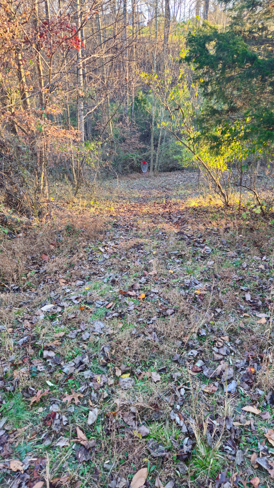 Mick Survance Memorial Course - Elizabethtown, Kentucky | UDisc Disc ...