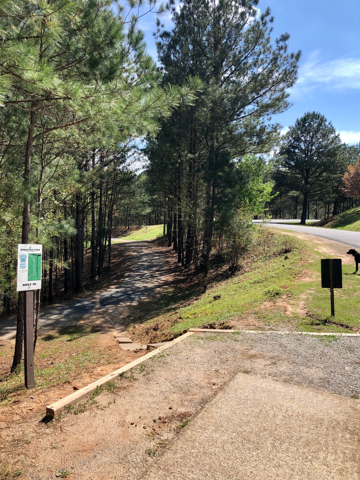 Sequoyah Park - Canton, GA | UDisc Disc Golf Course Directory | UDisc
