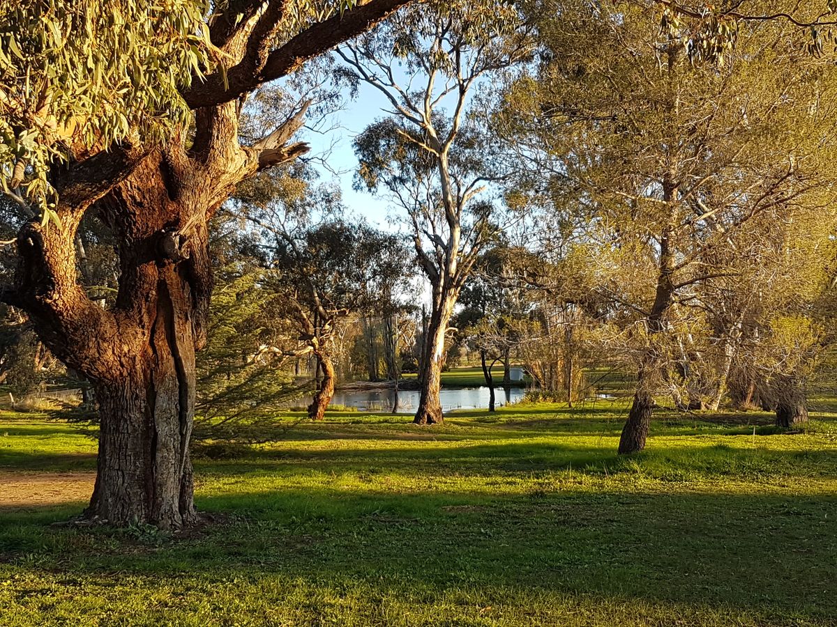 Molong Golf Club Disc Golf Course - Molong, Australia | UDisc Disc Golf ...