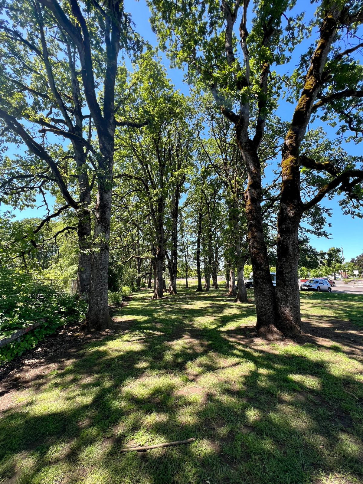 CCC Harmony DGC - Milwaukie, Oregon | UDisc Disc Golf Course Directory