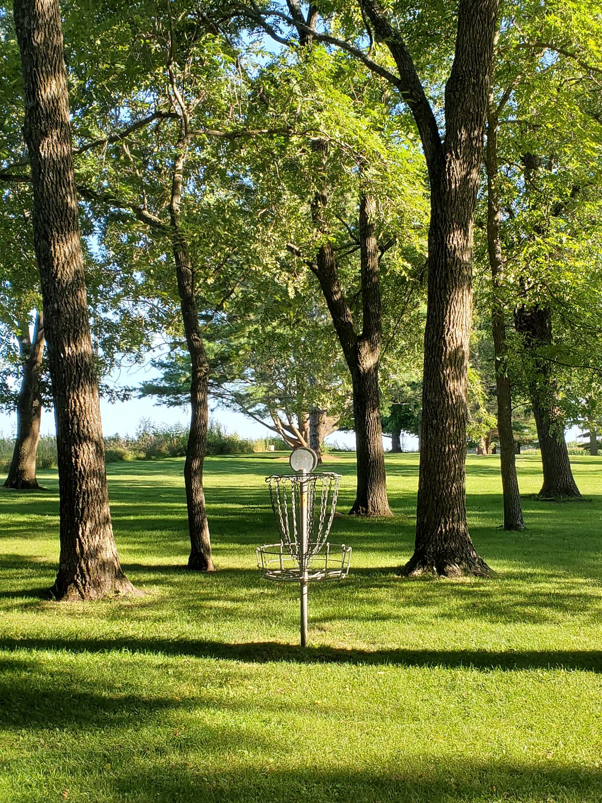 Jakway Forest Disc Golf - Lamont, Iowa | UDisc Disc Golf Course Directory