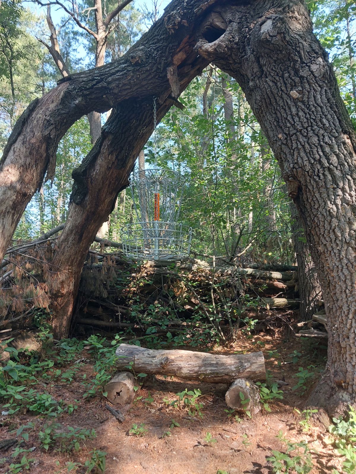 Jayden Gjerseth Memorial disc golf - Black River Falls, Wisconsin ...