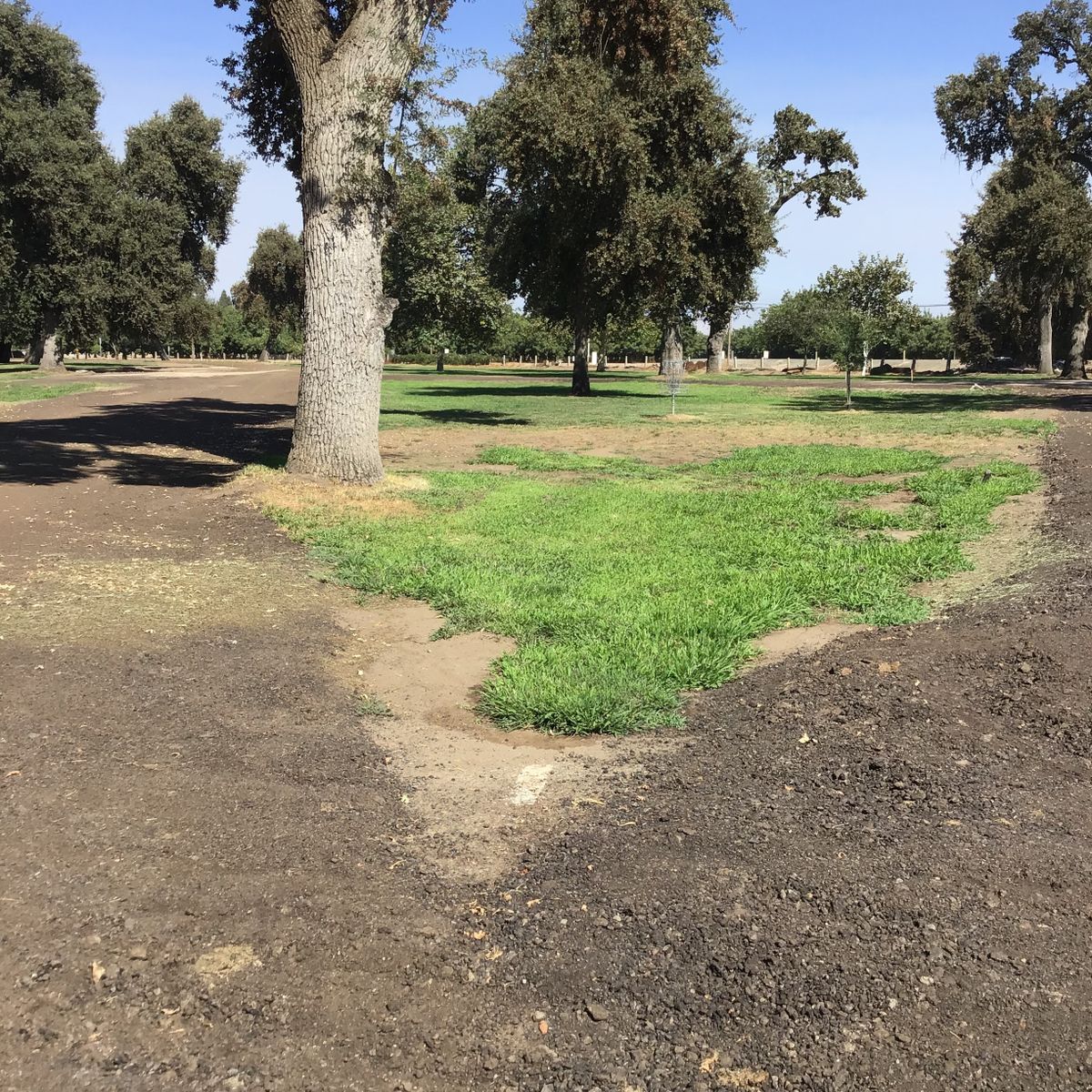 Cutler Park - Visalia, CA | UDisc Disc Golf Course Directory