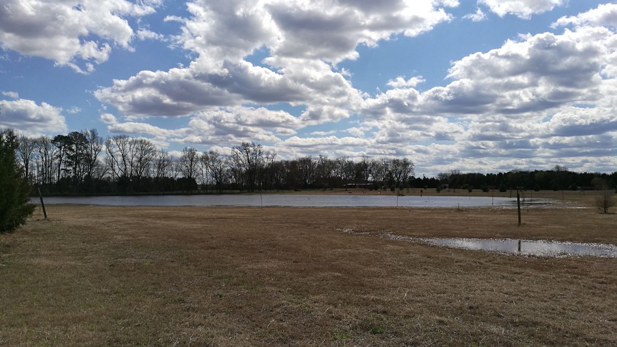 Pim's Farm - Darlington, South Carolina | UDisc Disc Golf Course Directory