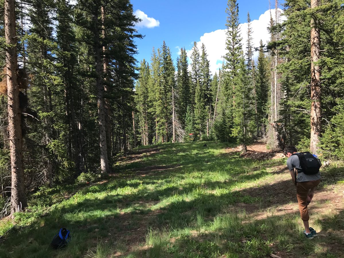 Snowmass Ski Resort - Red - Snowmass Village, Colorado | UDisc Disc ...