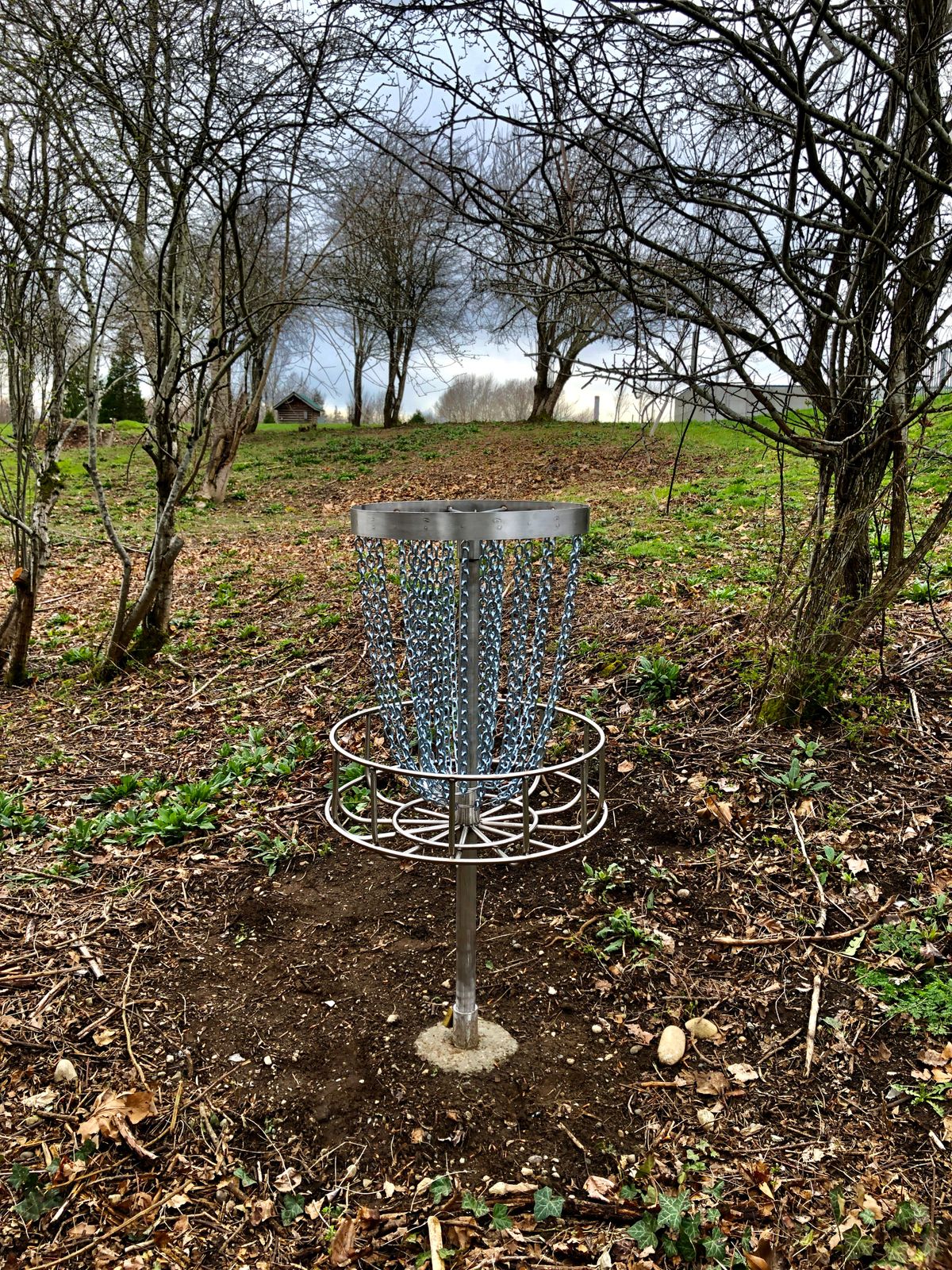 Bellingham Technical College - Bellingham, Washington | UDisc Disc Golf ...