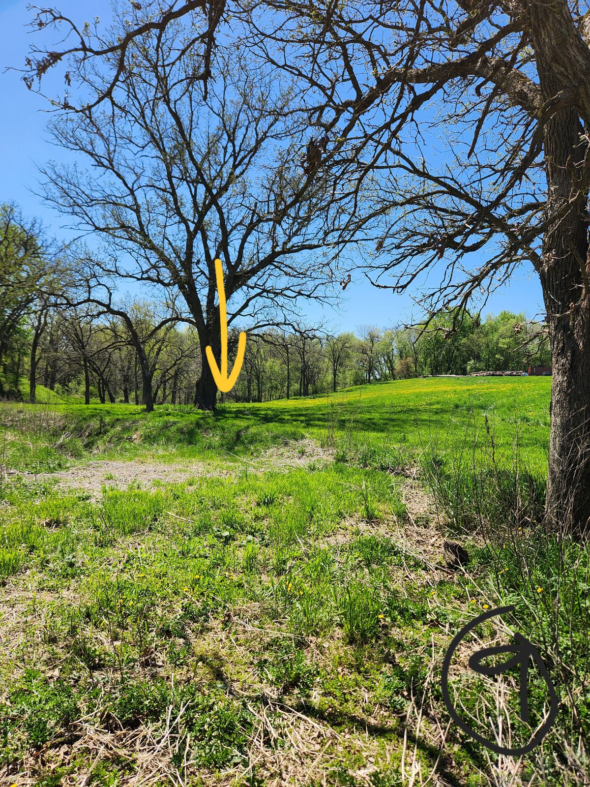 Eagle Valley DGC - Plainview, MN | UDisc Disc Golf Course Directory