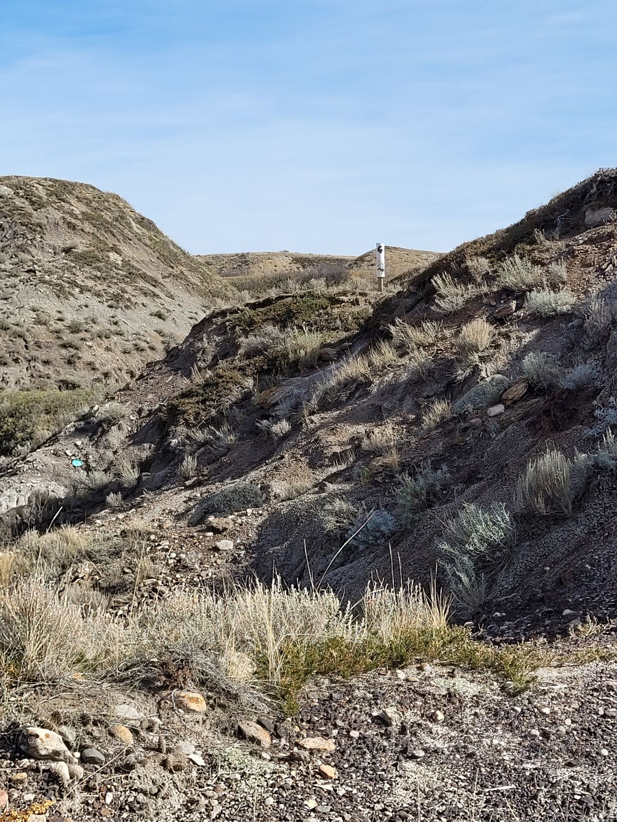 Midland Provincial Park - Drumheller, AB, Canada | UDisc Disc Golf ...