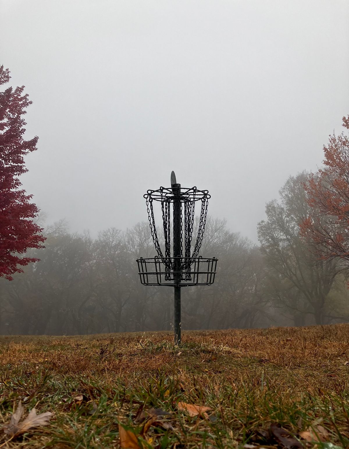 Fremont Disc Golf - Your Guide to Disc Golf in Fremont, Nebraska | UDisc
