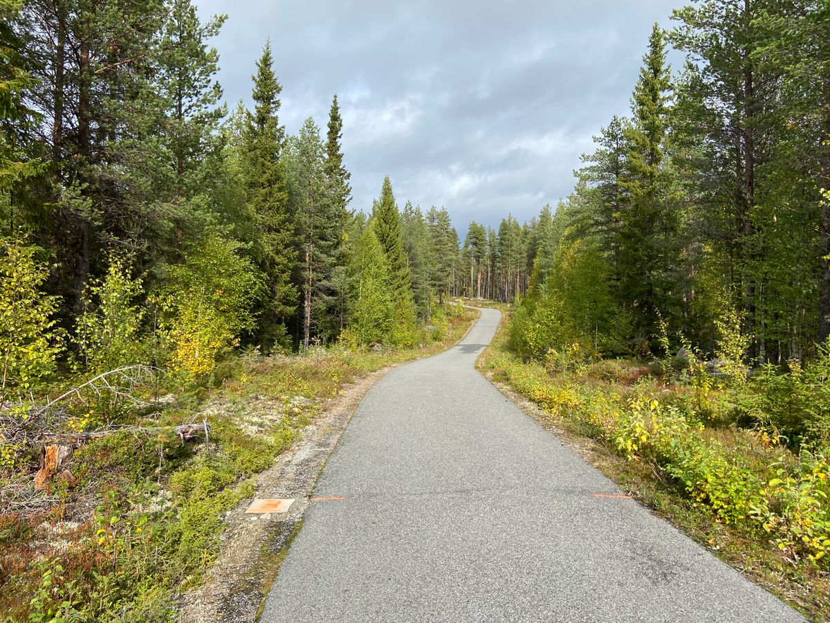 Stensele DGC - Stensele, Sweden | UDisc Disc Golf Course Directory