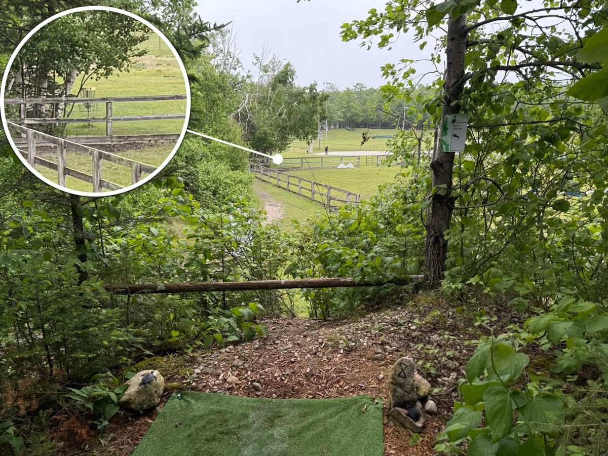 Great Turtle Park - Mackinac Island, MI | UDisc Disc Golf Course Directory