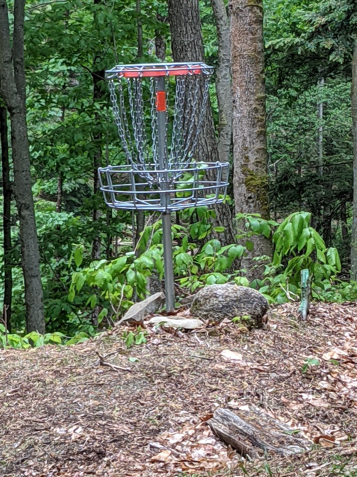 Thurber's Gully Disc Golf Course - Corning, New York | UDisc Disc Golf ...