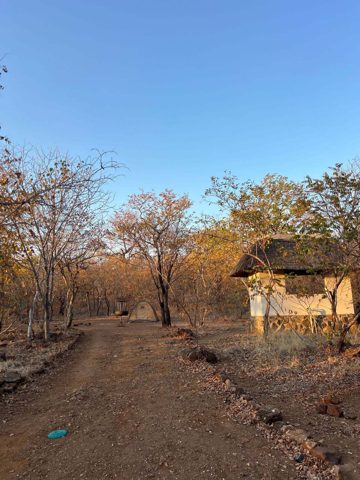 Livingstone Disc Golf - Your Guide to Disc Golf in Livingstone, Zambia ...