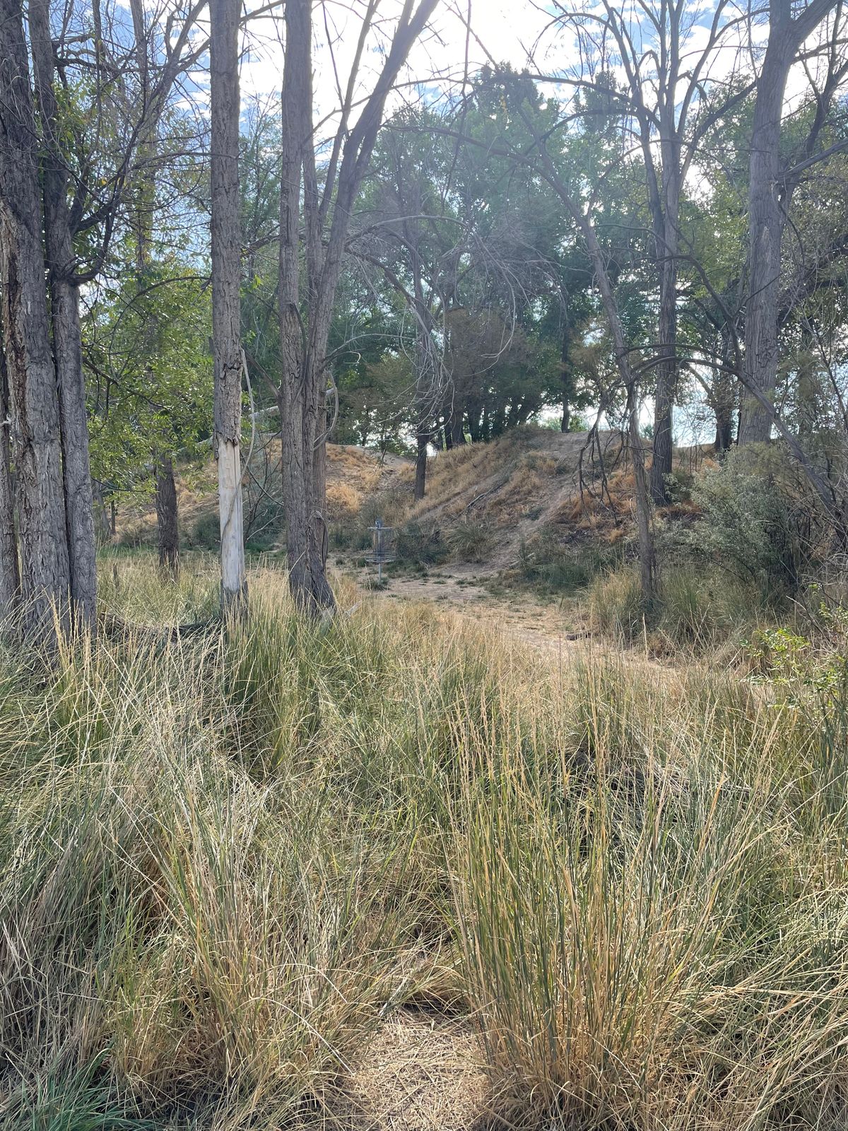 Little Salt Wash Disc Golf Park - Fruita, CO | UDisc Disc Golf Course ...