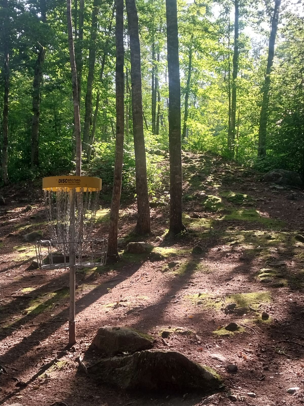 In The Trees Mountain Disc Golf - Stoneham, Maine | UDisc Disc Golf ...