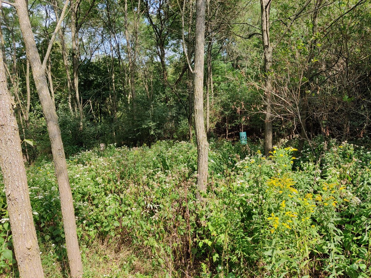 MEGIDDO - Wautoma, Wisconsin | UDisc Disc Golf Course Directory