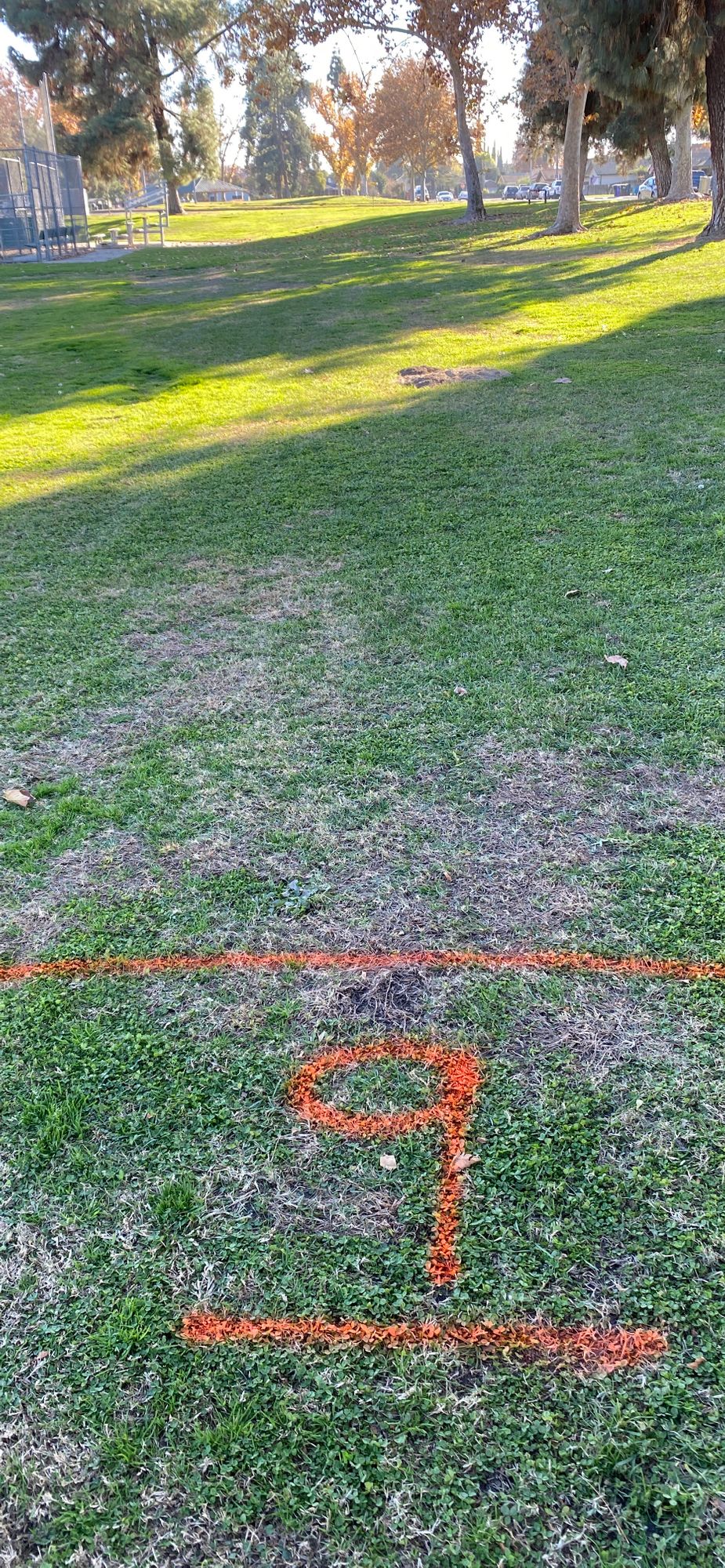 Zalud Park - Porterville, California | UDisc Disc Golf Course Directory