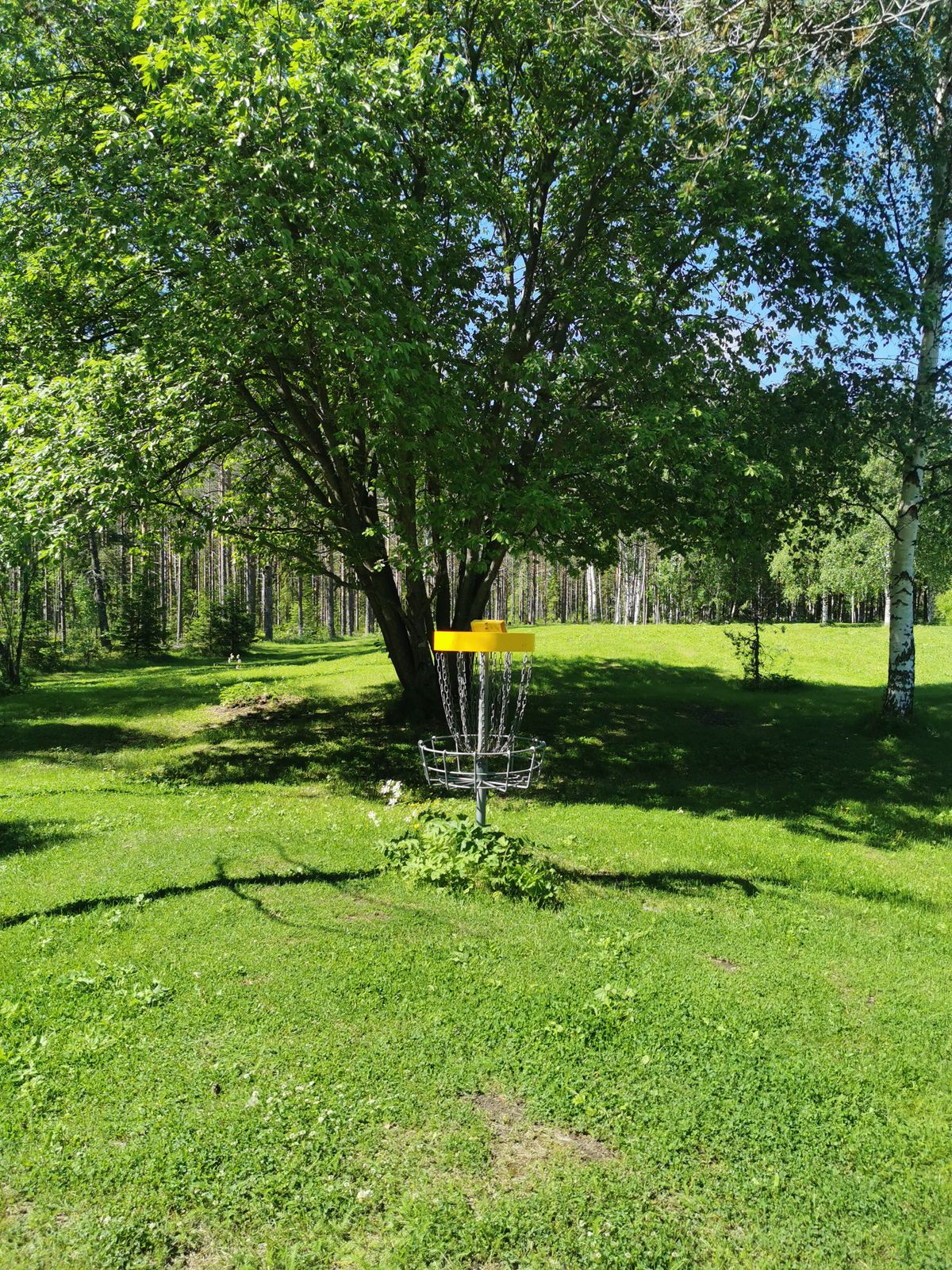 Serpent Hill - Luleå, Sweden | UDisc Disc Golf Course Directory