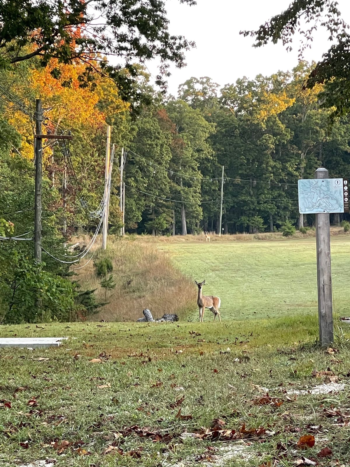 Carter Caves Disc Golf Course - Wolf, Kentucky | UDisc Disc Golf Course ...