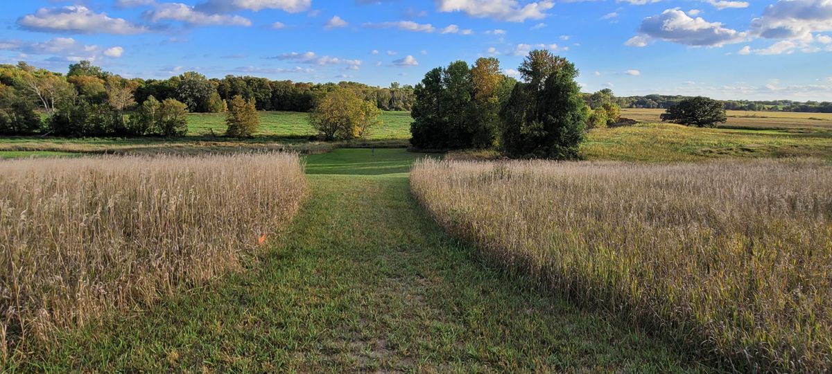 Fairhill Disc - Buffalo, Minnesota | UDisc Disc Golf Course Directory