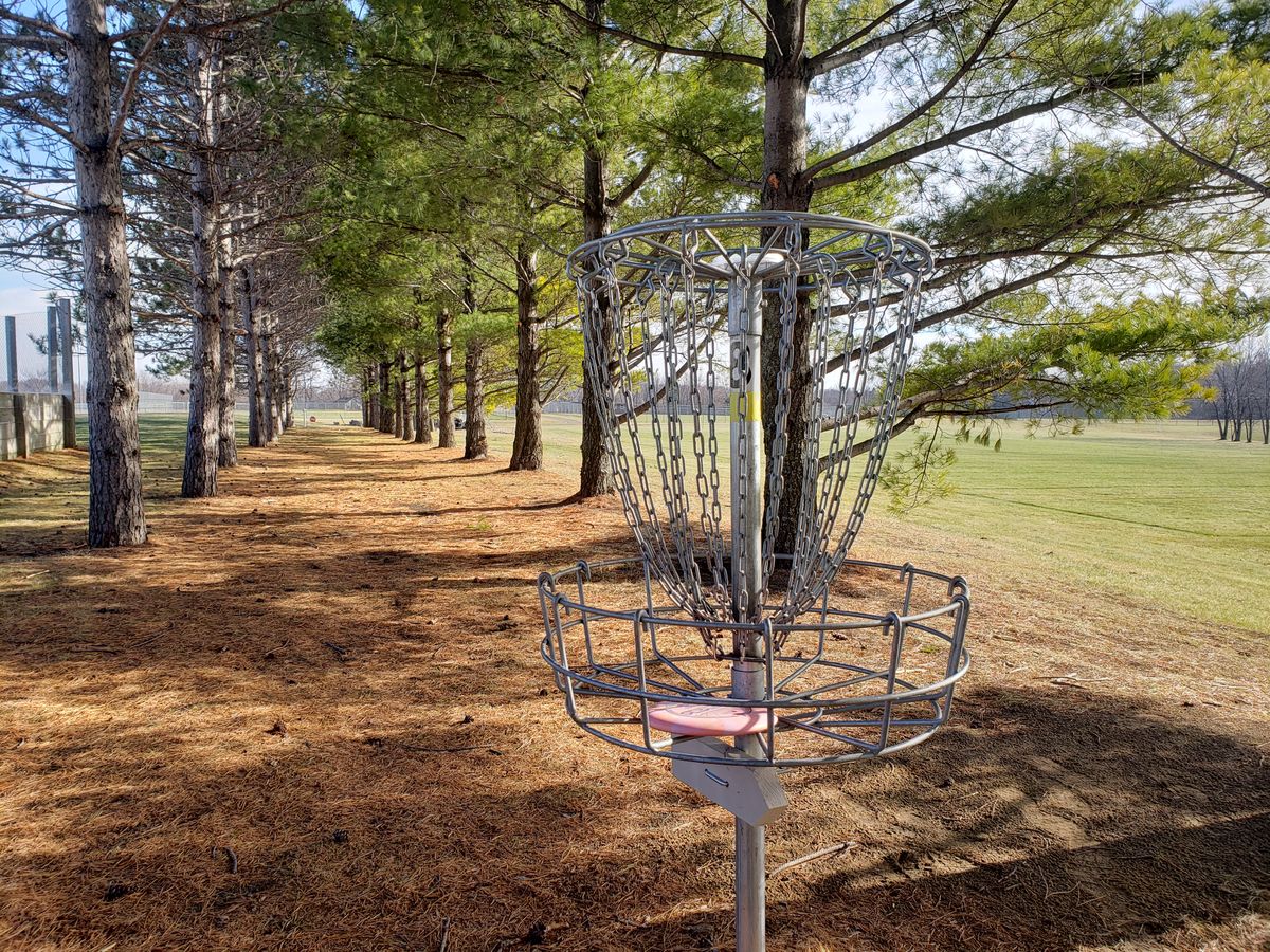 Disc Golf Drive