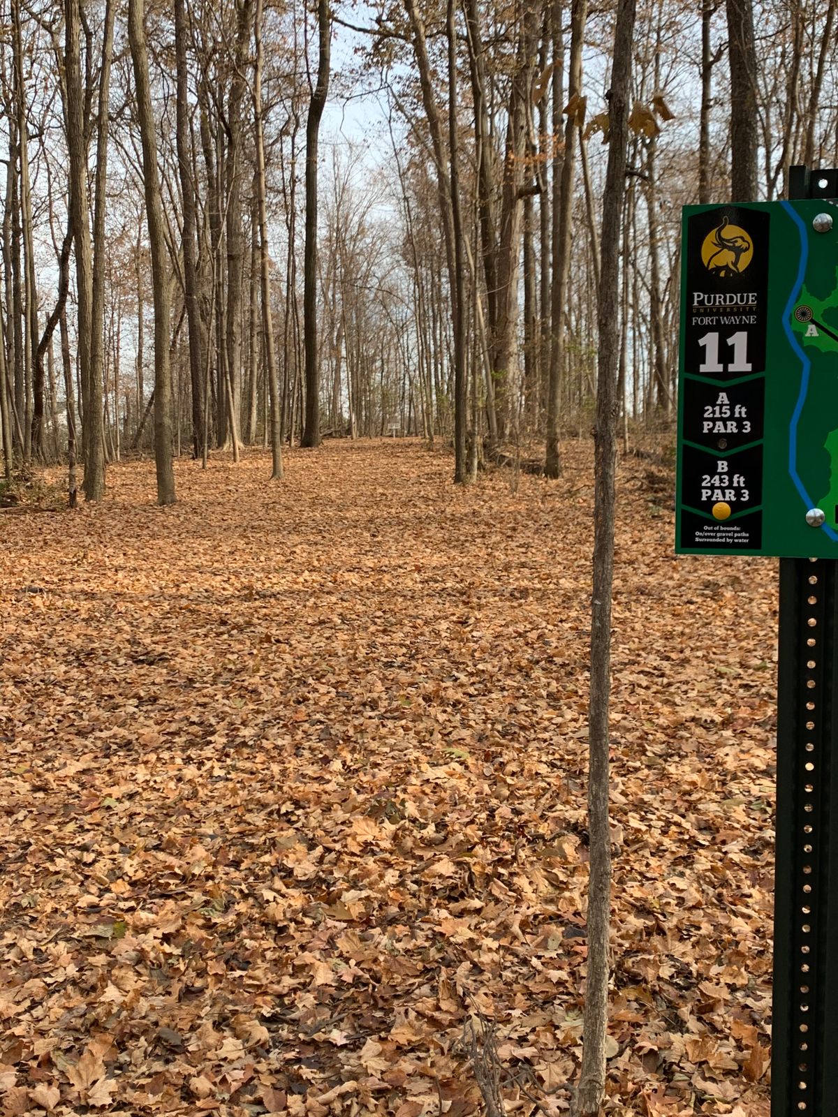 Fort Wayne Disc Golf - Your Guide to Disc Golf in Fort Wayne, Indiana ...