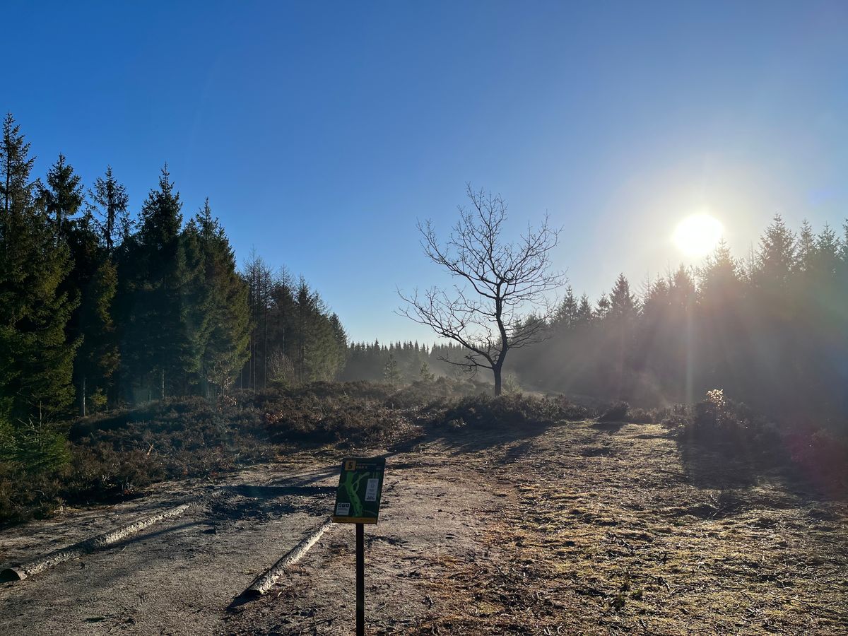 Skive Disc Golf Bane - Skive, Denmark | UDisc Disc Golf Course Directory