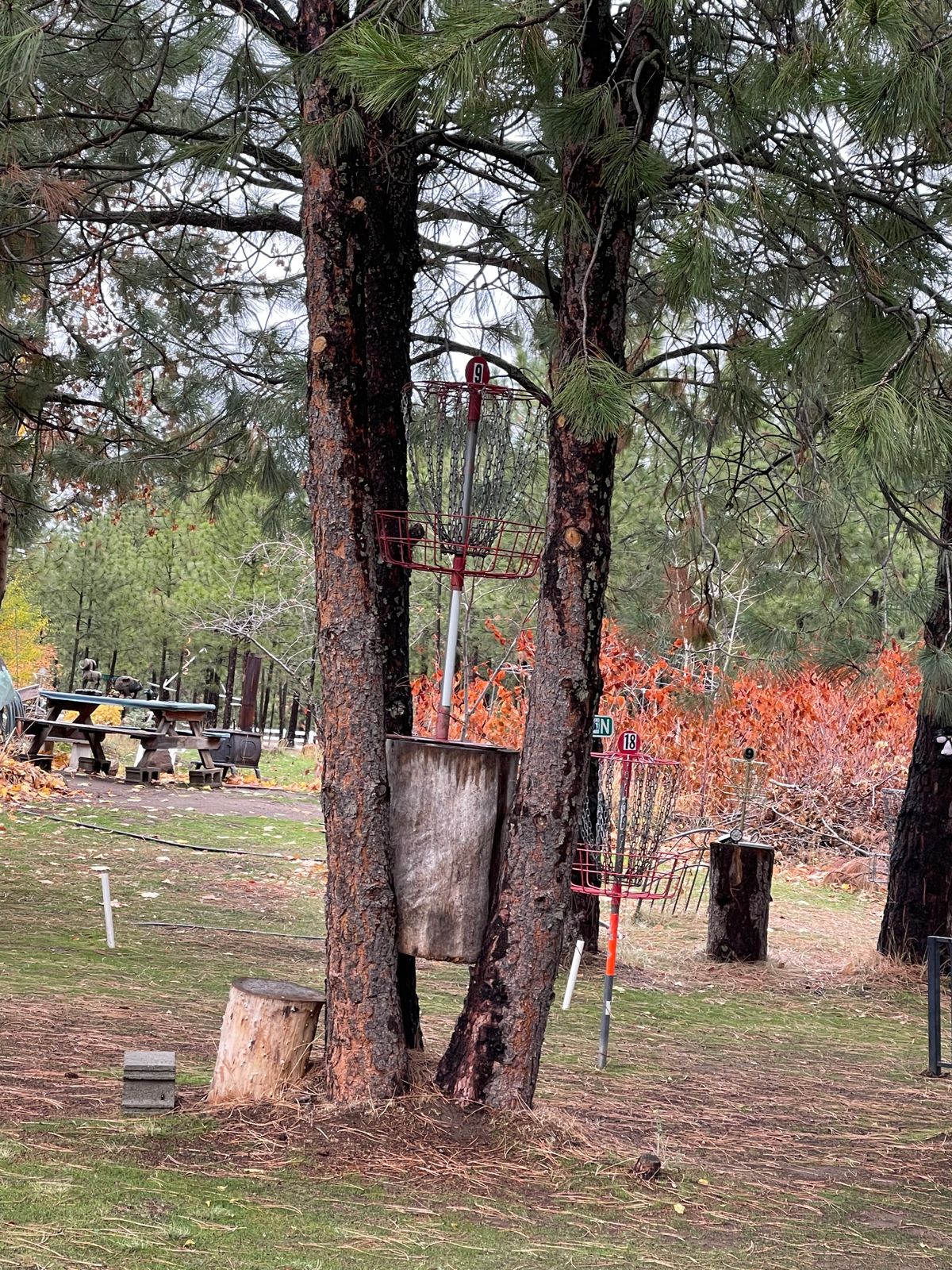 Stimpi Ridge Disc Golf Course/Pro Shop - Spokane, Washington | UDisc ...