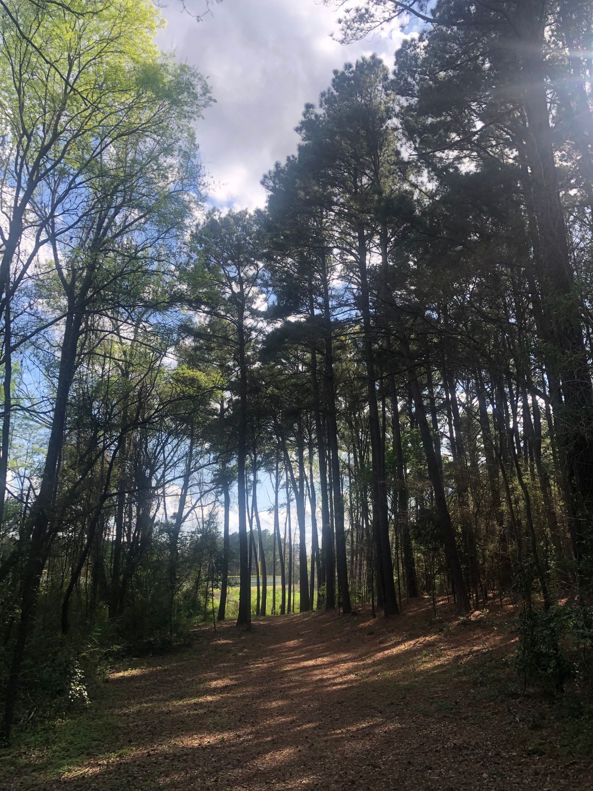 Lear Park DGC - Longview, TX | UDisc Disc Golf Course Directory