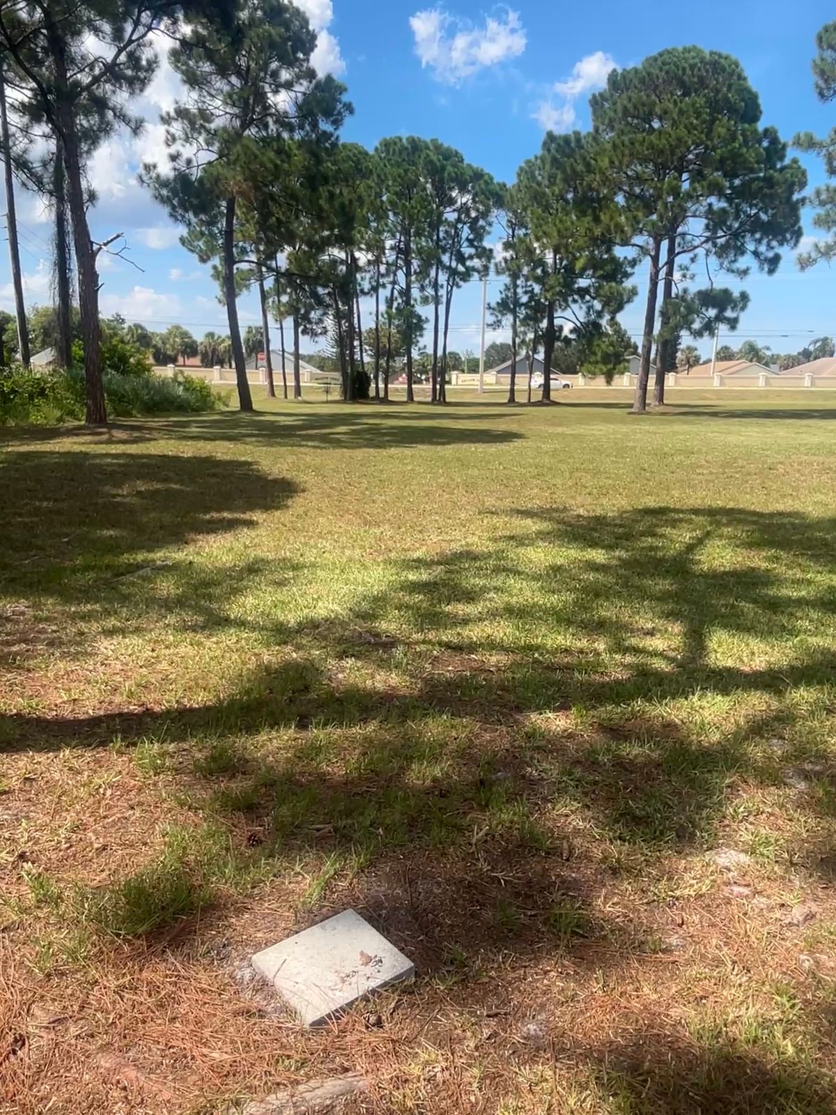 Cross Bridge Pitch and Putt - Rockledge, Florida | UDisc Disc Golf ...