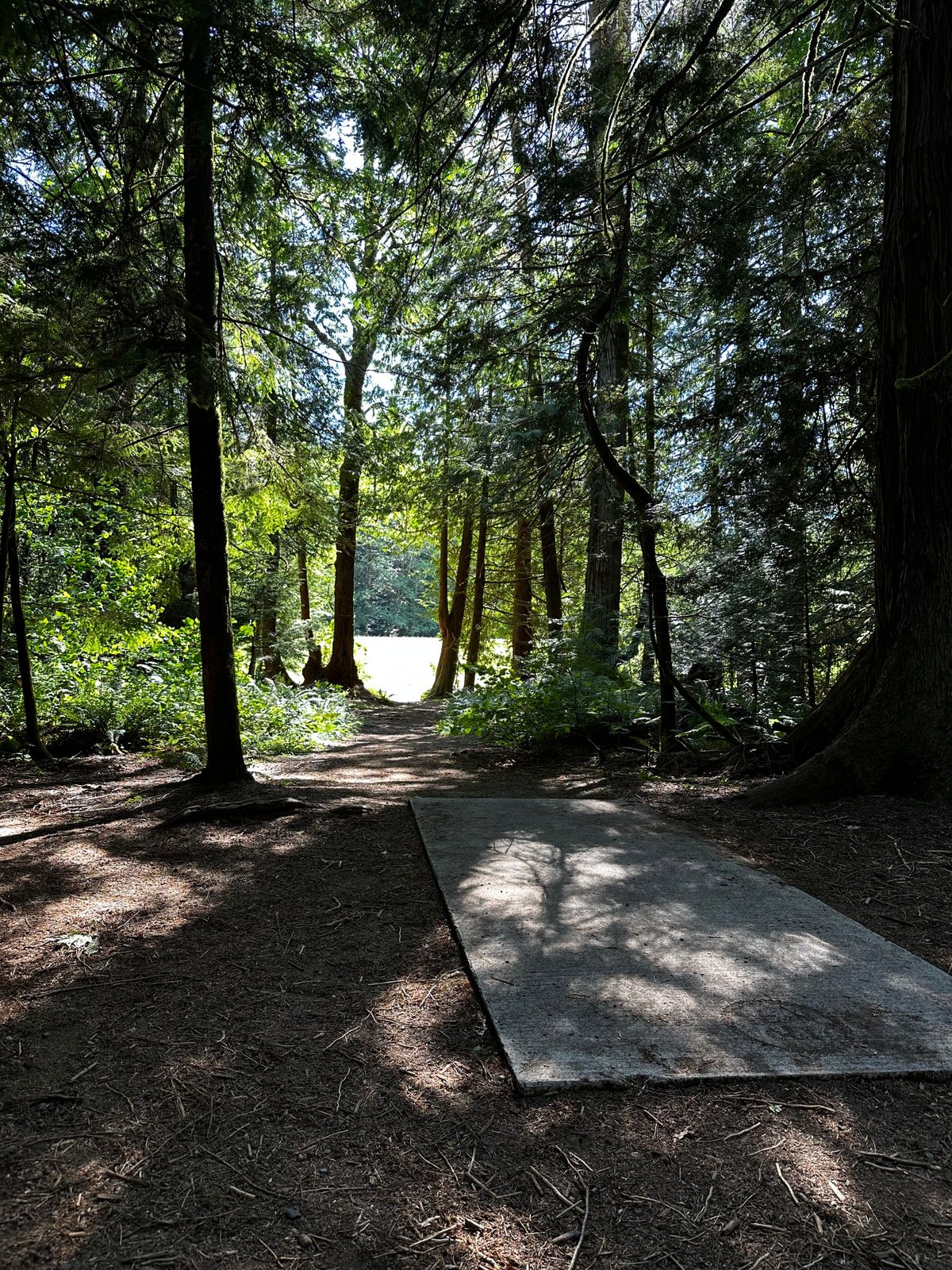 Evergreen State College - Olympia, Washington | UDisc Disc Golf Course ...