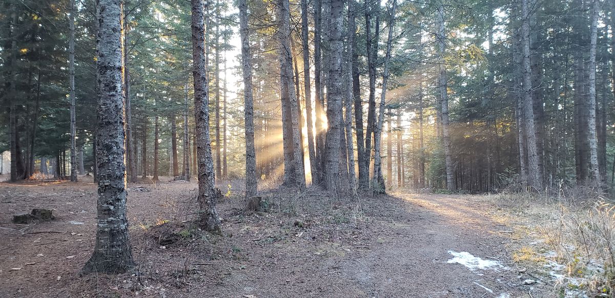 Baldfoot - Sandpoint, Idaho | UDisc Disc Golf Course Directory