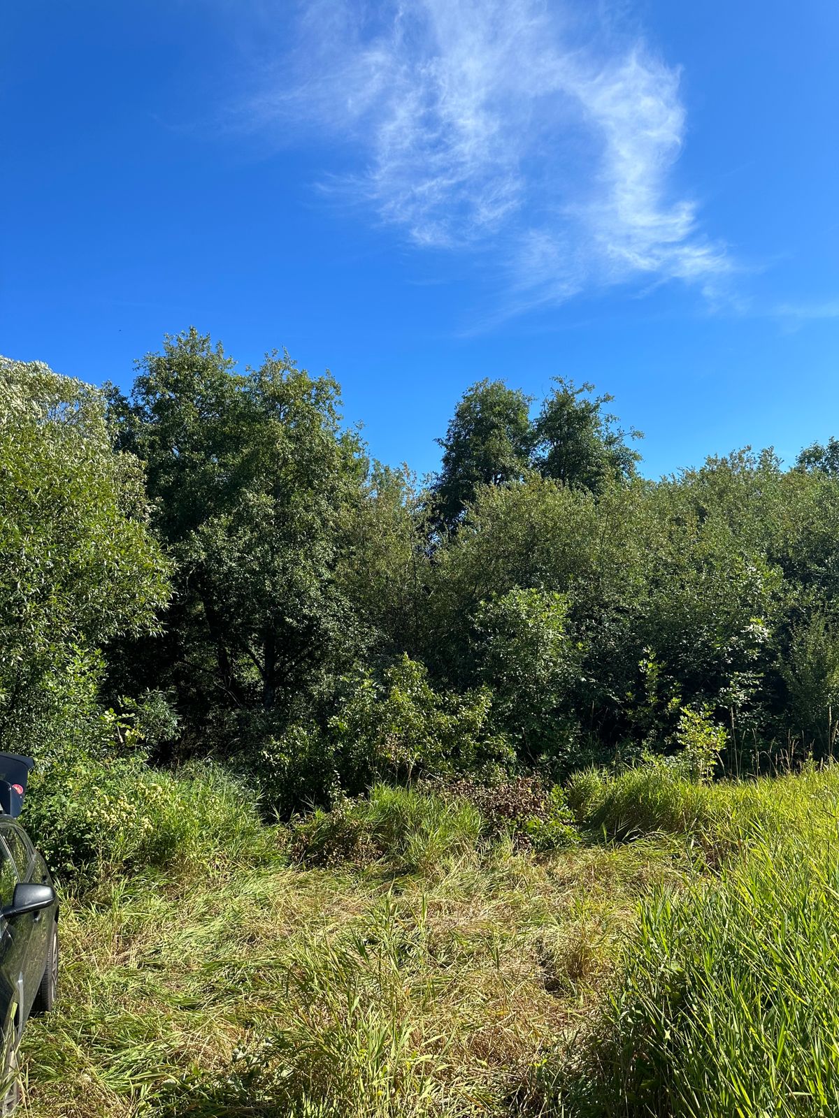 The Shallows - Centralia, Washington | UDisc Disc Golf Course Directory