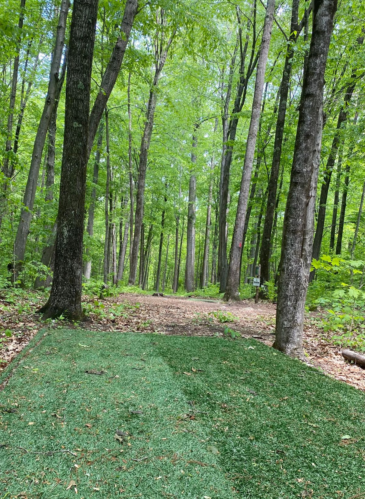 Bittner Park/Rick B. Maynard DGC - Guilford, Connecticut | UDisc Disc ...