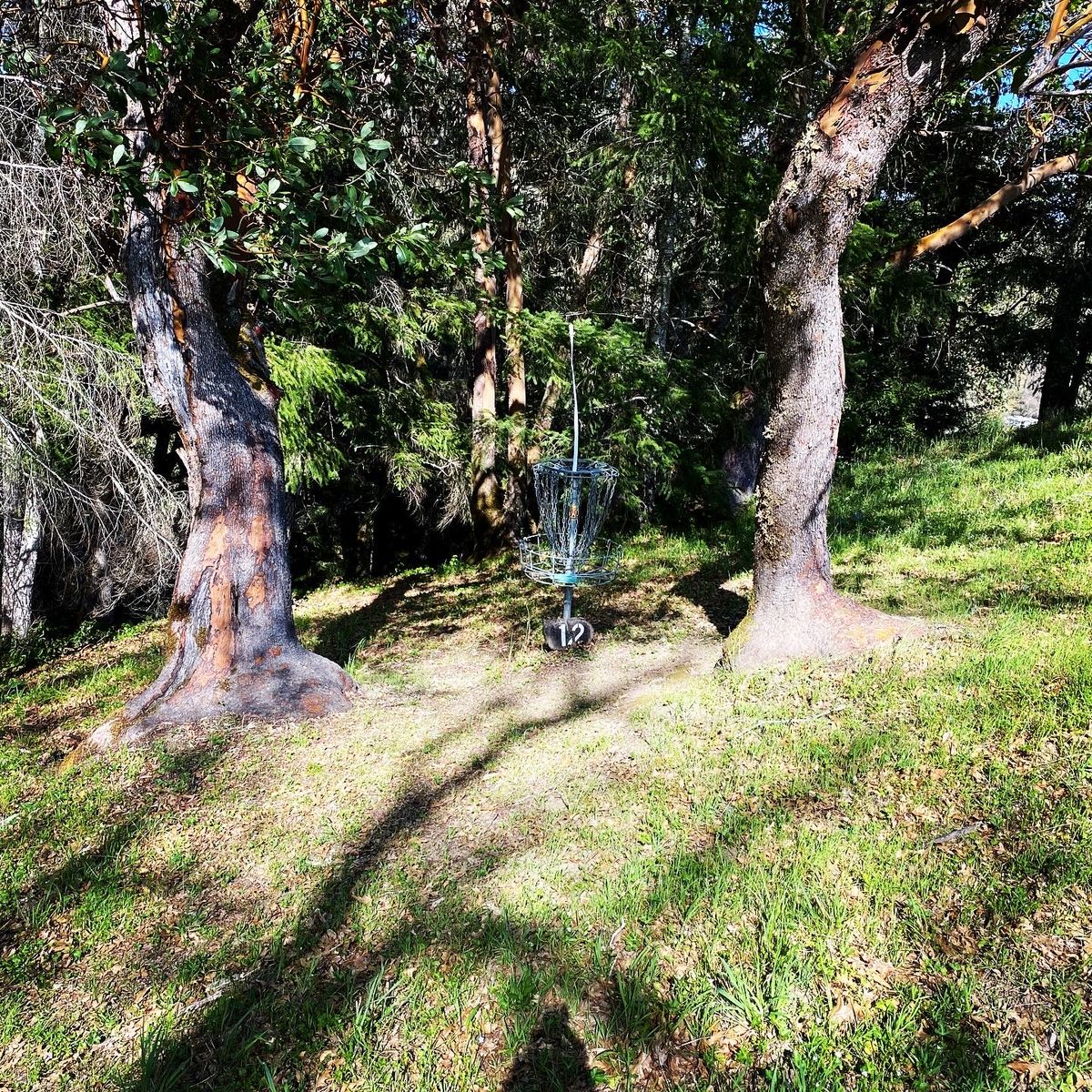 Mendocino Redwoods RV Disc Golf - Willits, California | UDisc Disc Golf ...